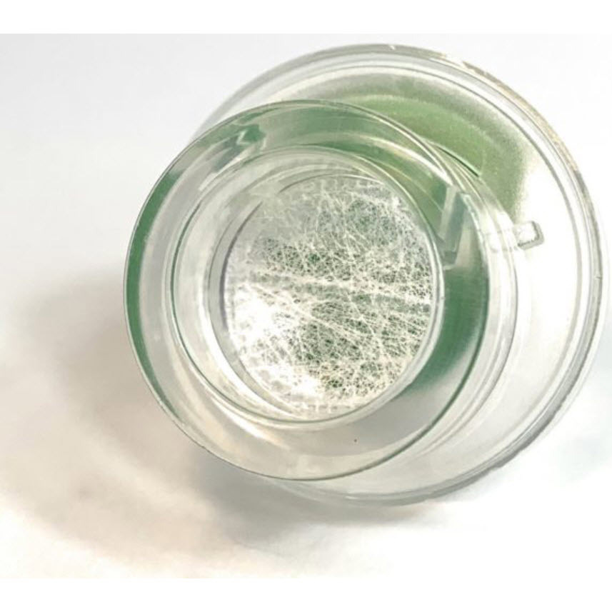 Replacement 1-way Valve for CPR Resuscitation Mask | Bound Tree